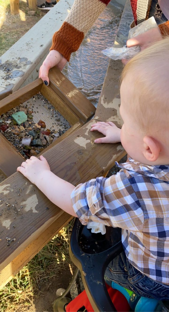 Attractions - Andelin Family Farm